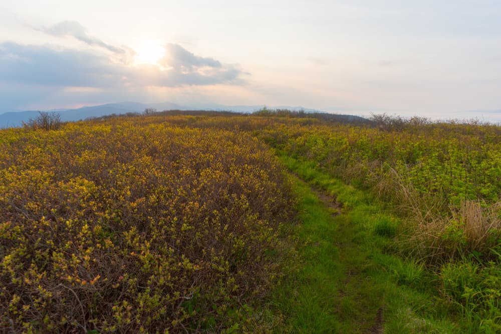 Top 5 Fall Hikes in the Great Smoky Mountains National Park